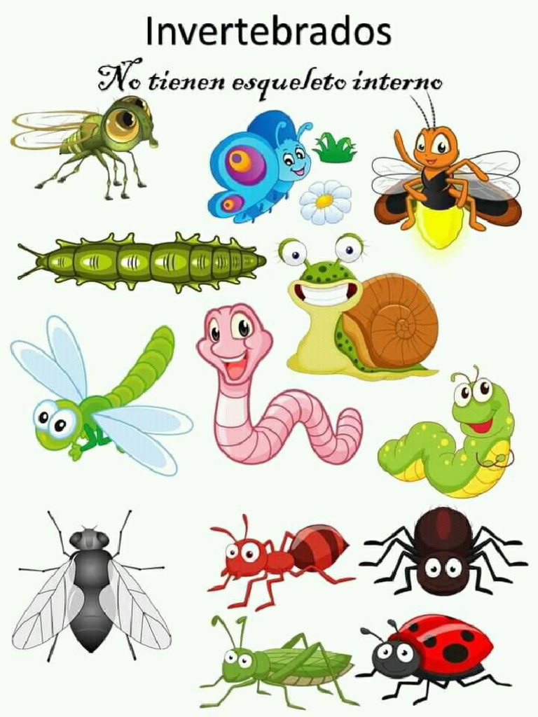 Láminas Clasificación y Agrupación de Animales Por Materiales ...