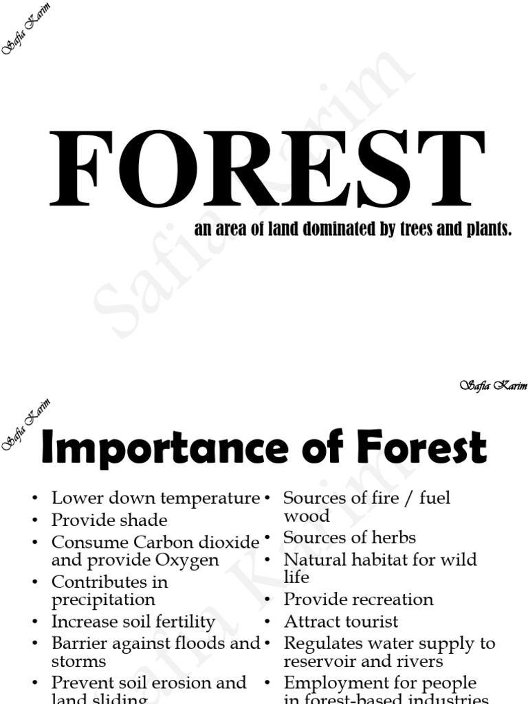 Forest | PDF | Deforestation | Forests