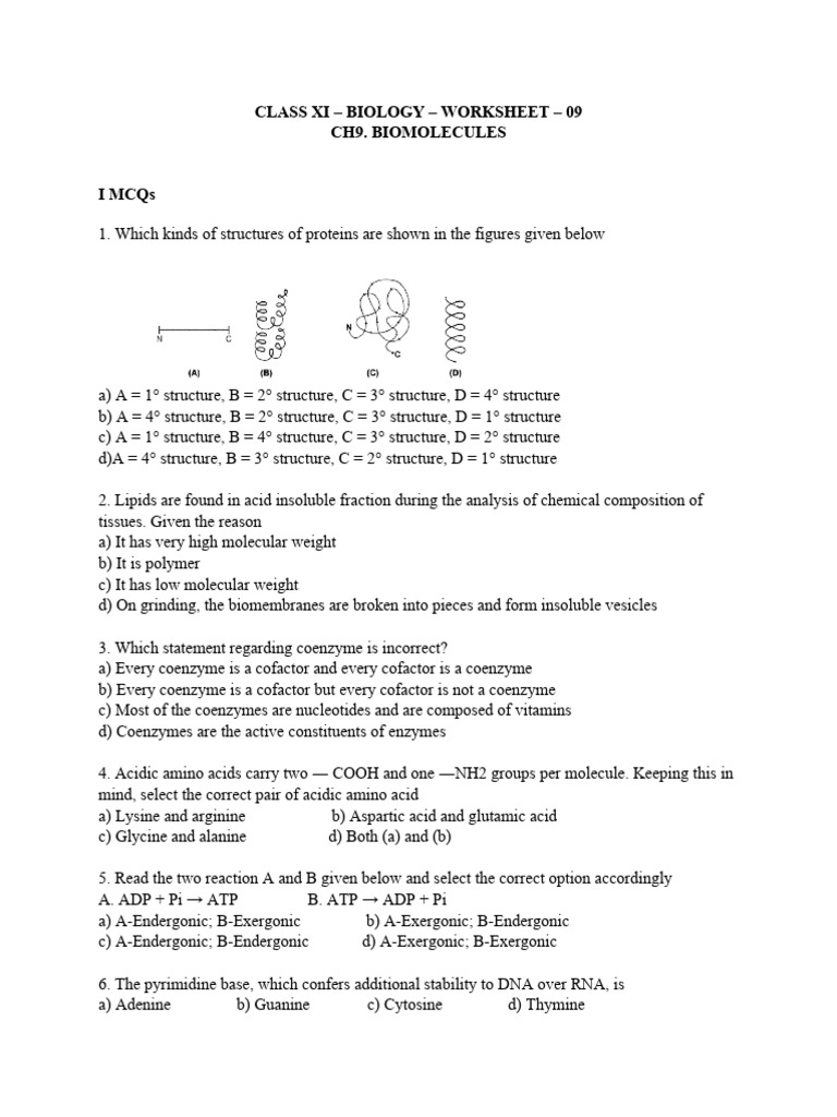 Class XI Biology Worksheet on Biomolecules | PDF | Cofactor ...