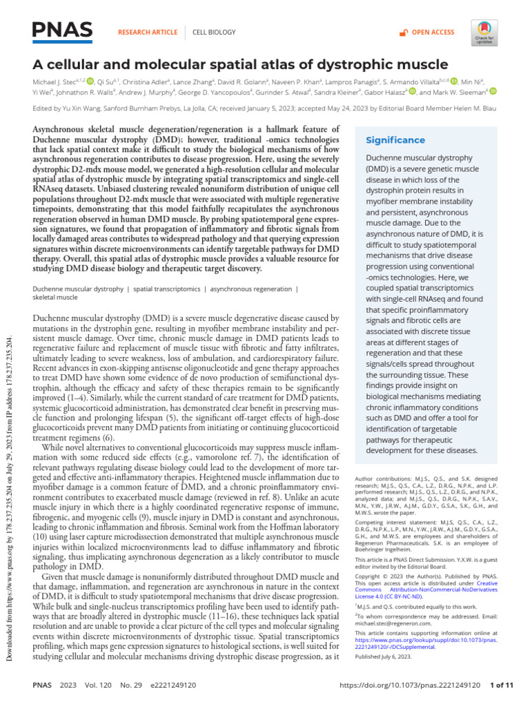 A Cellular and Molecular Spatial Atlas of Dystrophic Muscle | PDF | Skeletal Muscle | Biology