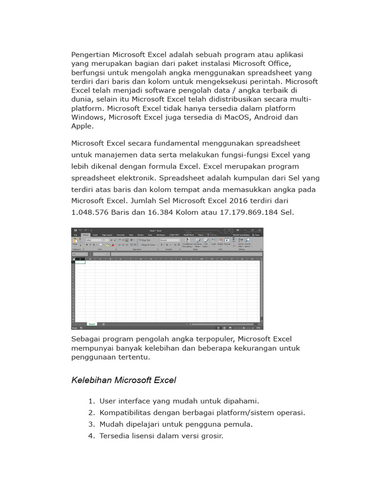 Pengertian Excel Dan Fungsinya | PDF