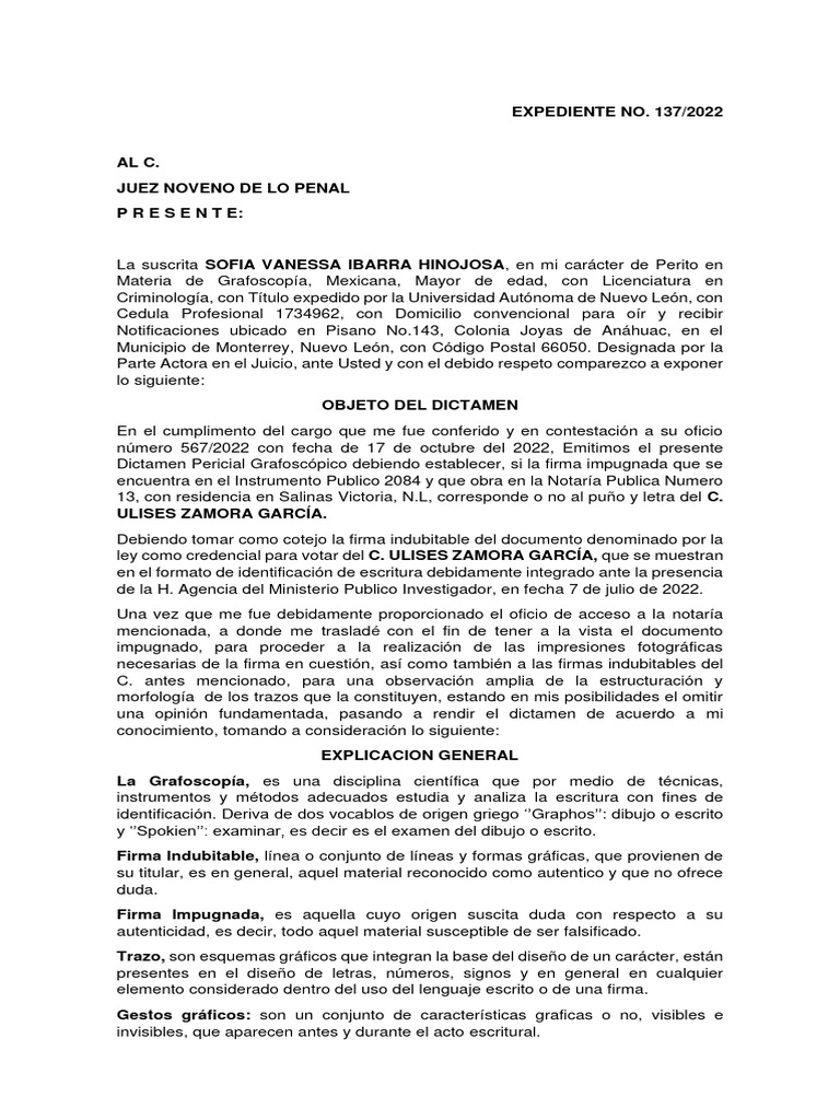 Dictamen Pericial de Grafoscopía | PDF | Escritura | Dibujo