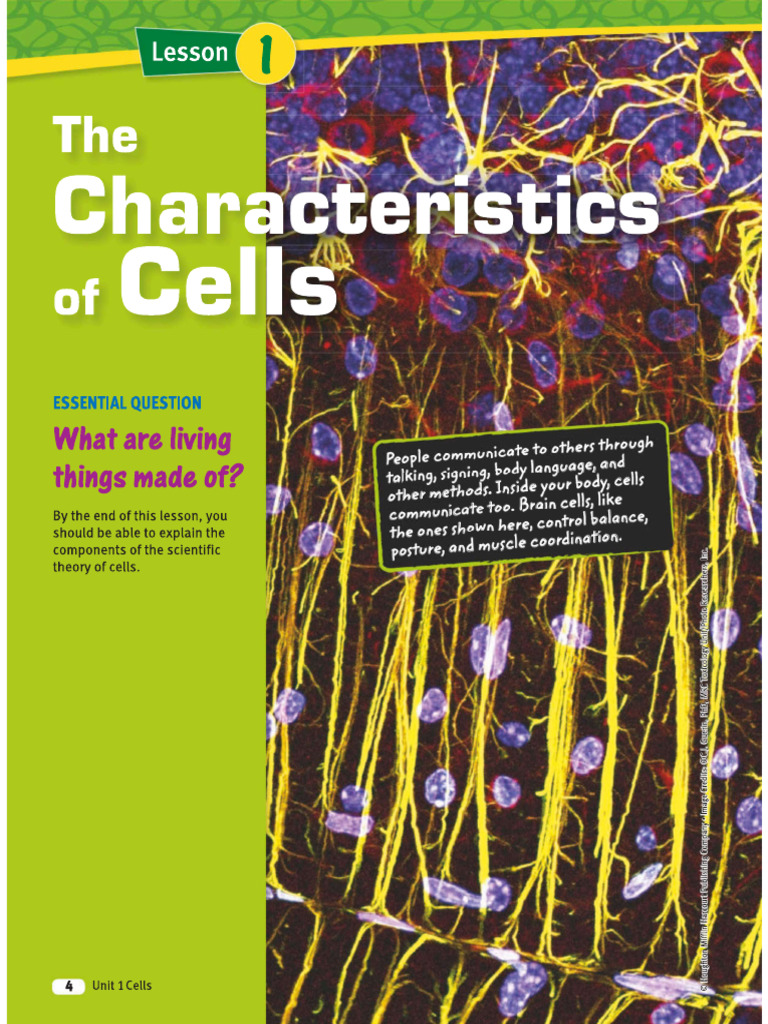 7 - Cells - Structure and Functions - A - L1 L3 | PDF
