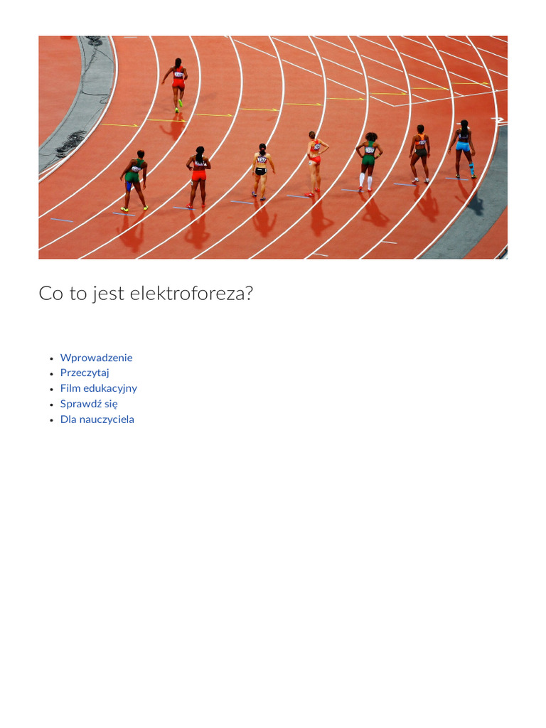 Co To Jest Elektroforeza | PDF