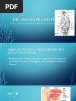 Digestive System GIZMO | PDF | Digestion | Small Intestine