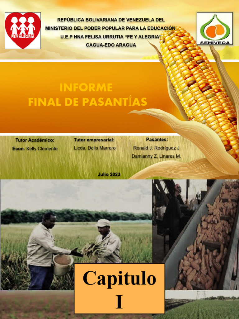 Presentacion Informe Final de Pasantias SEHIVECA | PDF | Business ...