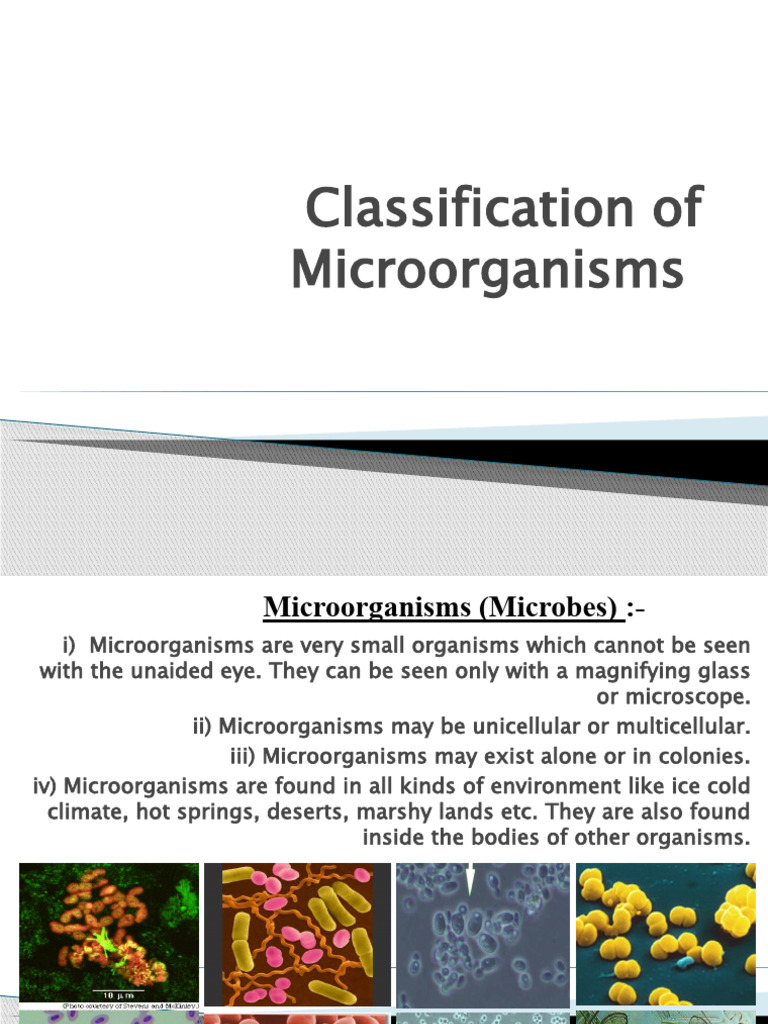 Microorganism Classification Guide | PDF | Microorganism | Bacteria