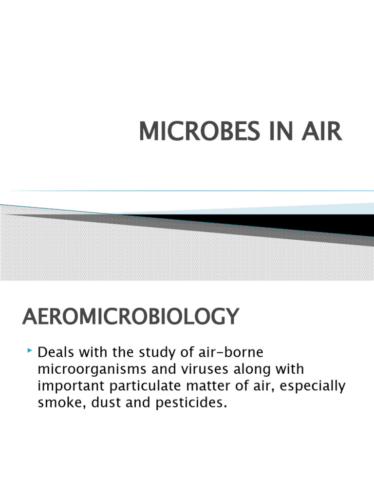 Microbes in Air 5 | PDF | Microorganism | Atmosphere Of Earth