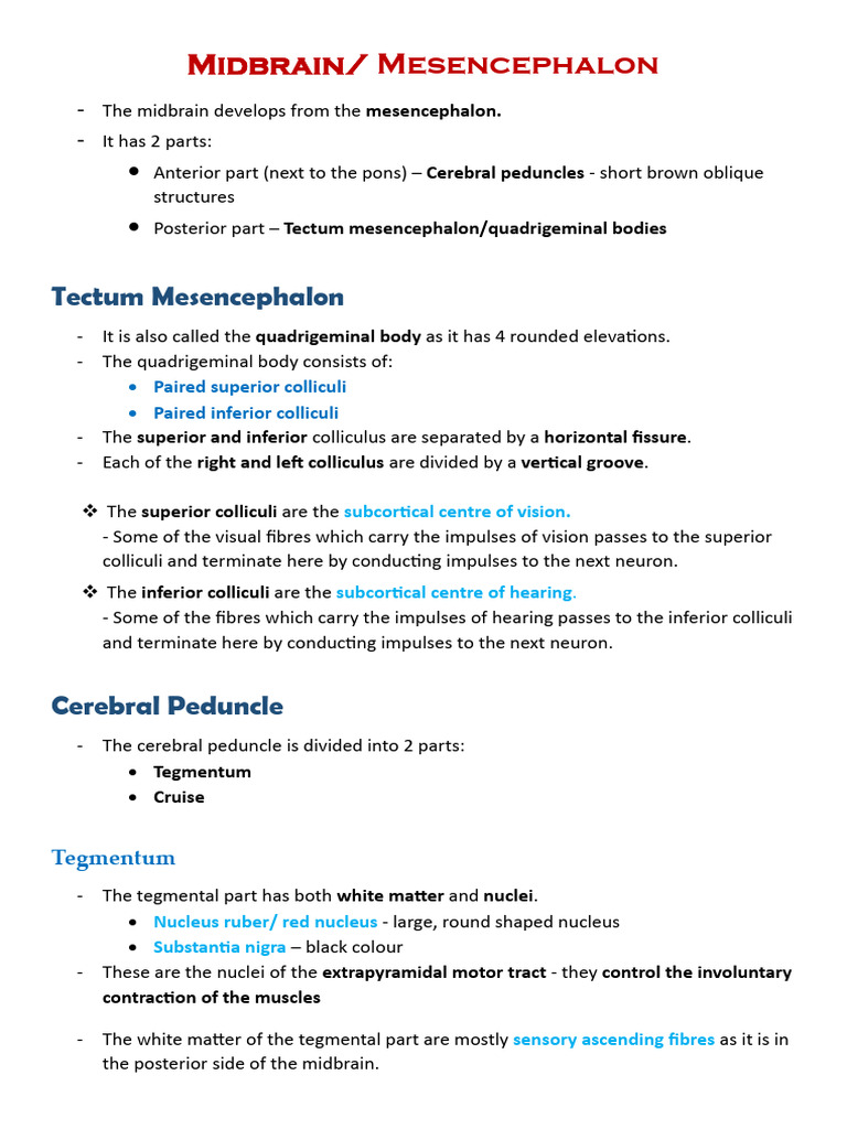 Anatomy of Mesencephalon - Med School Anatomy - Everything You Need To ...