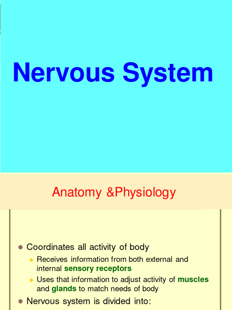 Lecture-5-Nervous System | PDF | Central Nervous System | Nervous System