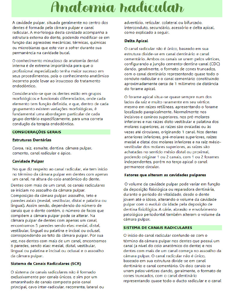 Anatomia Radicular | PDF | Raiz | Dente