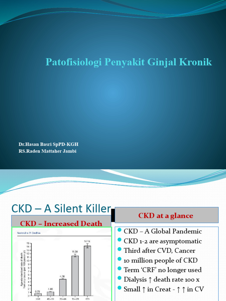 Patofisiologi Penyakit Ginjal Kronik | PDF | Chronic Kidney Disease ...
