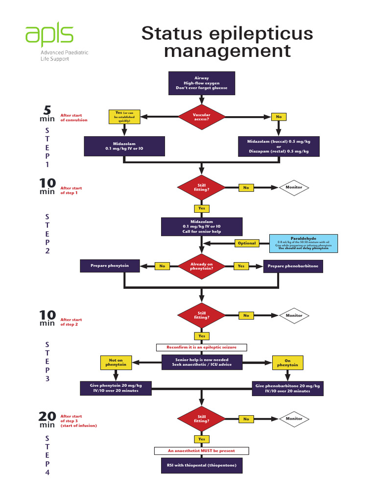 Status Epilepticus Protocol | PDF | Midazolam | Medical Treatments