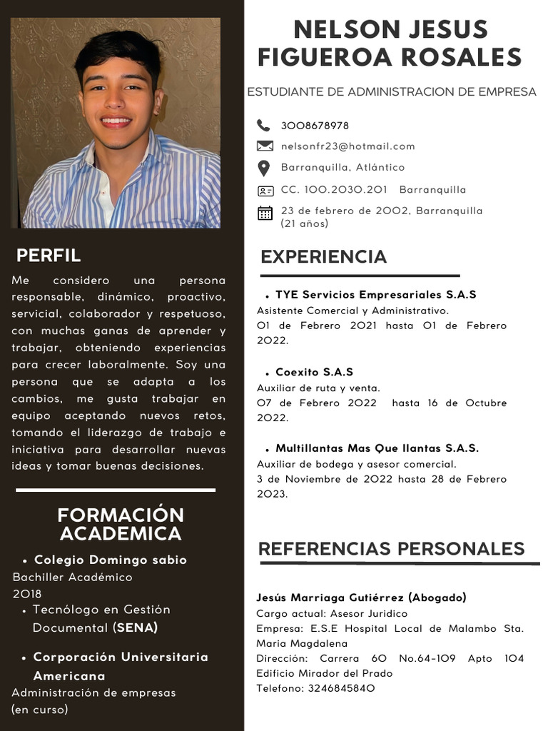 Hoja de Vida Nelson Figueroa. | PDF | Business