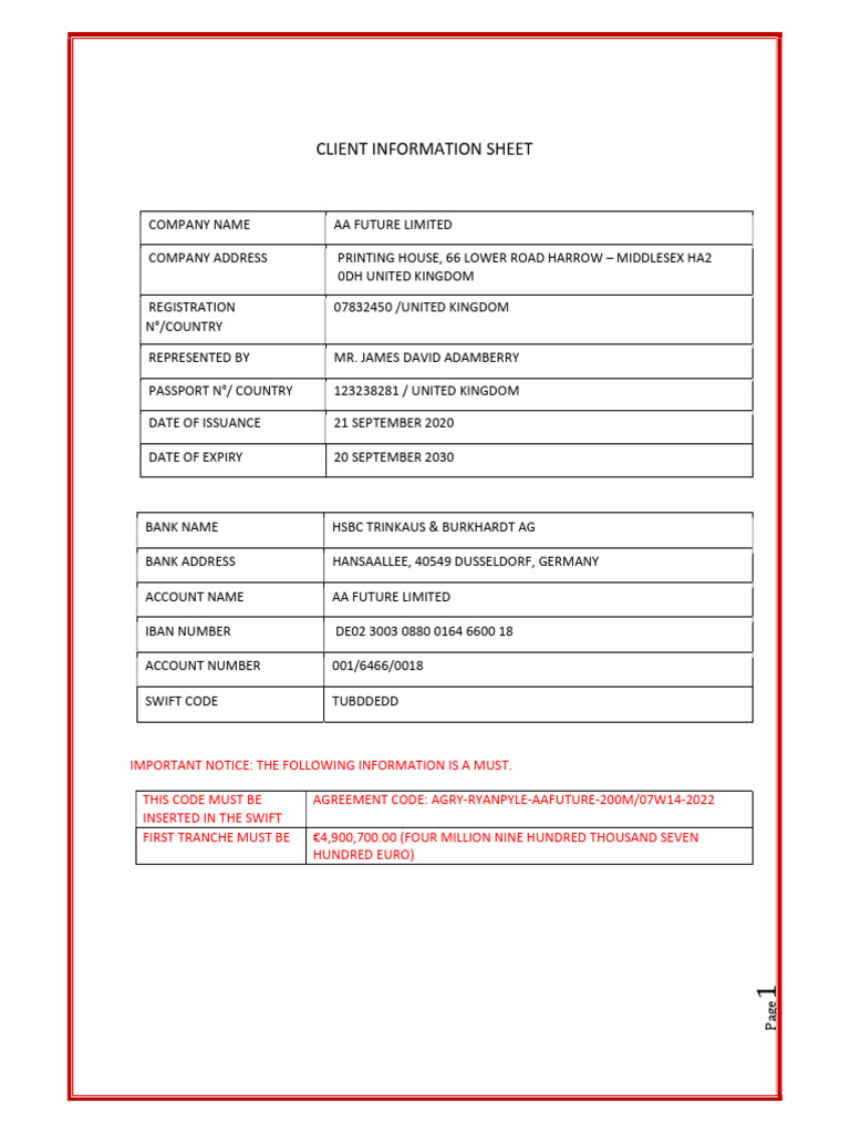 Cis - Aa Future Limited | PDF