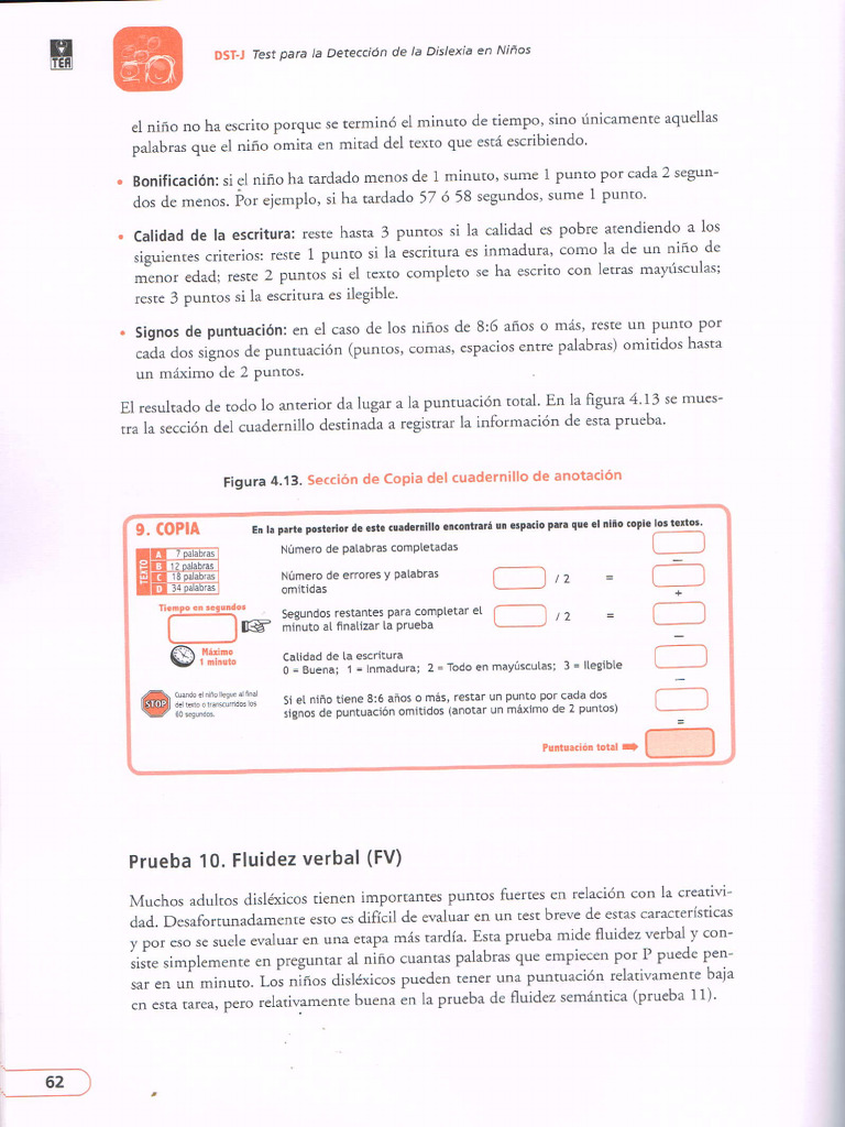 DST-J Manual III | PDF