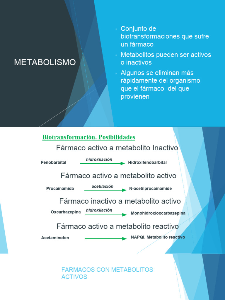 Clase 5 Metabolismo | PDF | Citocromo P450 | Riñón