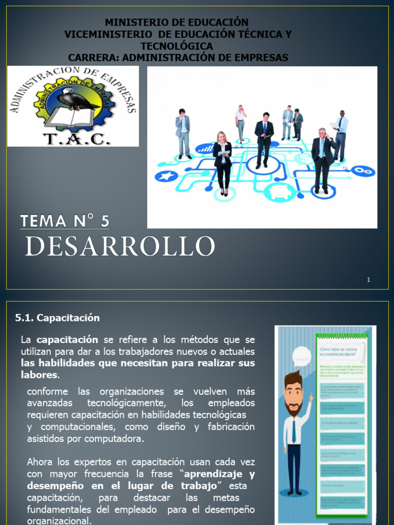 Tema5 - Desarrollo | PDF | Business | Diseño