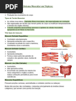 Nomes de 100 Músculos Do Corpo Humano | PDF | Sistema Locomotor ...