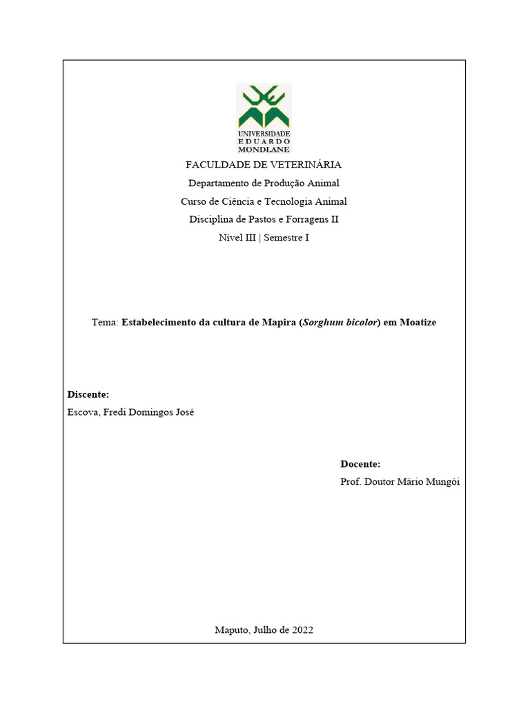 Cultivo de Mapira em Moatize: Projeto e Viabilidade | PDF | Arado ...