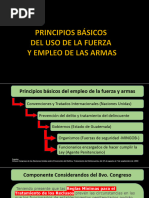 Principios Basicos Uso de La Fuerza y Arma de Fuego | PDF | Naciones Unidas | Relaciones ...