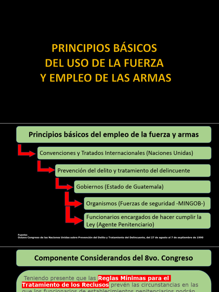 001 Principios Básicos Del Uso de La Fuerza y de Las Armas | PDF | Armas de fuego | Fuerza