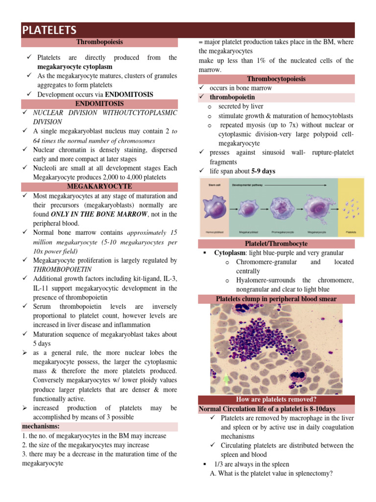 Hema Lecture | PDF | Platelet | Coagulation