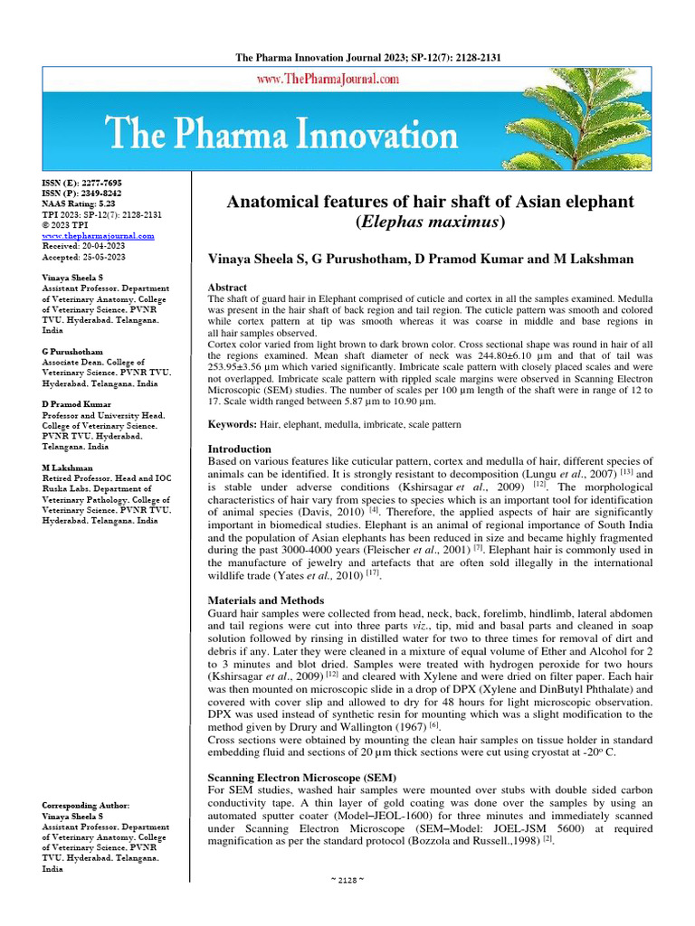 Hair, Elephant, Medulla, Imbricate, Scale Pattern | PDF | Hair ...
