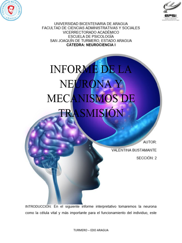 Informe Interpretativo Neuronas | PDF | Sinapsis | Neurona