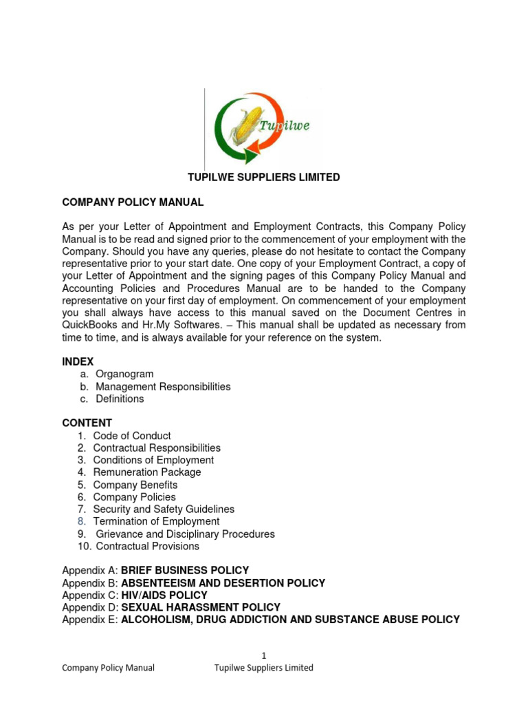 Company Policy Manual | PDF | Employment | Internet