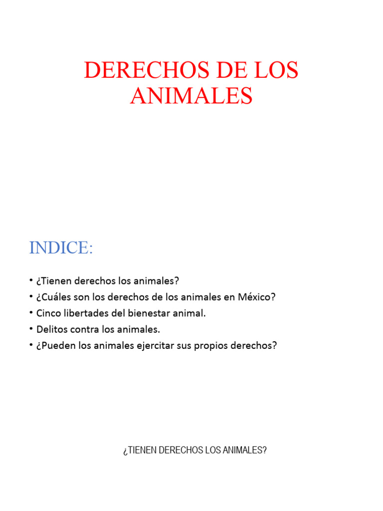 Derechos de Los Animales | PDF | Derechos | Derechos animales
