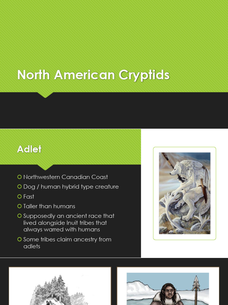North American Cryptids | PDF | Bigfoot