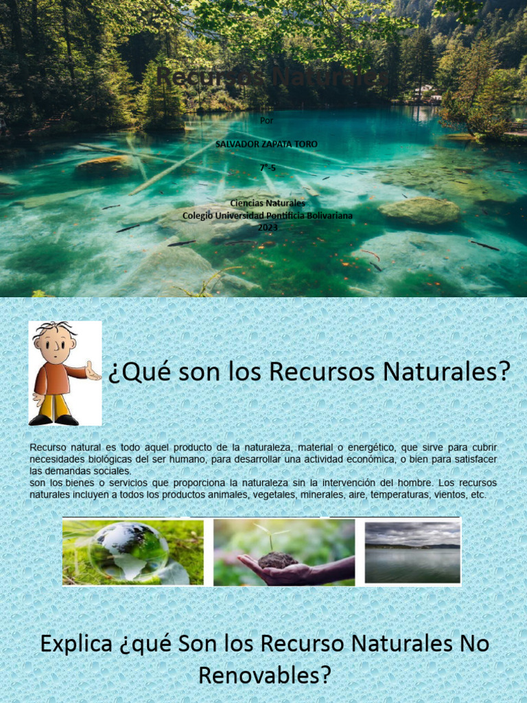 Recursos Naturales: Tipos y Conservación | PDF | Energía renovable ...