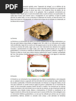 Significado de "Ayotl" en Náhuatl | PDF