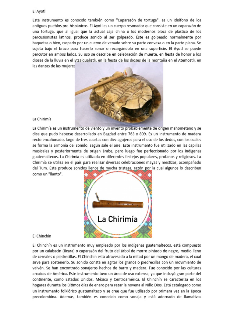 El Ayotl: Instrumento Musical Prehispánico | PDF | Instrumentos ...