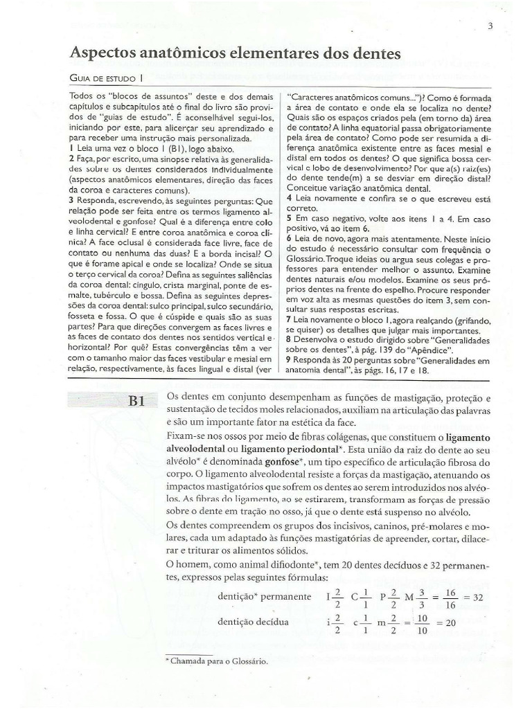 Anatomia Dental Teoria Pdf