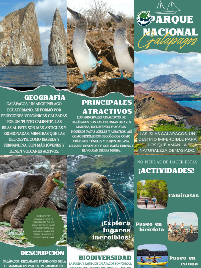 Green White Torn Travel Trifold Brochure | PDF | Islas Galápagos ...