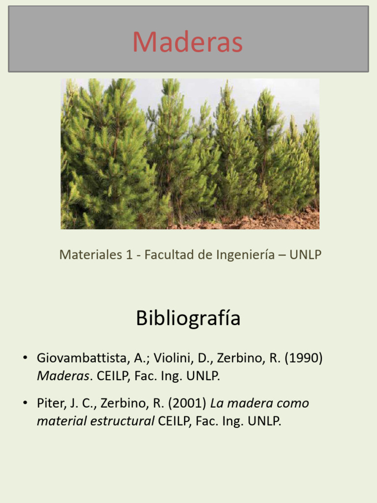 Maderas Presentación 2023 | PDF | Madera | Arboles