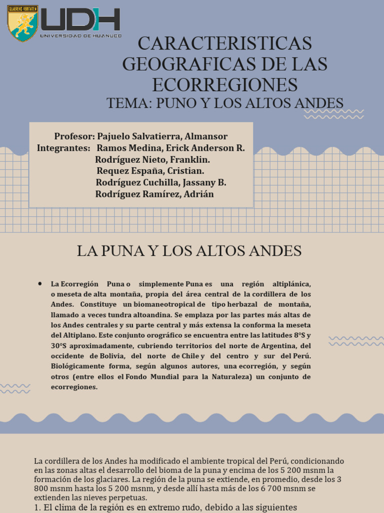 Características de la Ecorregión Puna | PDF | Andes | Geografía Física