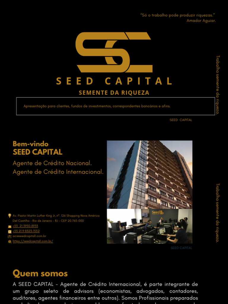 Soluções Financeiras da Seed Capital | PDF | Crédito | Finanças e ...