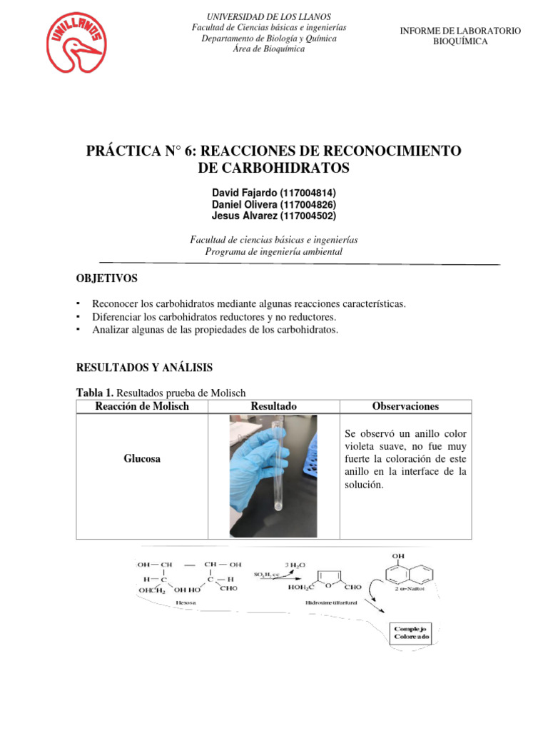 PRÁCTICA N 6 REACCIONES DE RECONOCIMIENTO DE CARBOHIDRATOS MDJ | PDF | Sacarosa | Carbohidratos