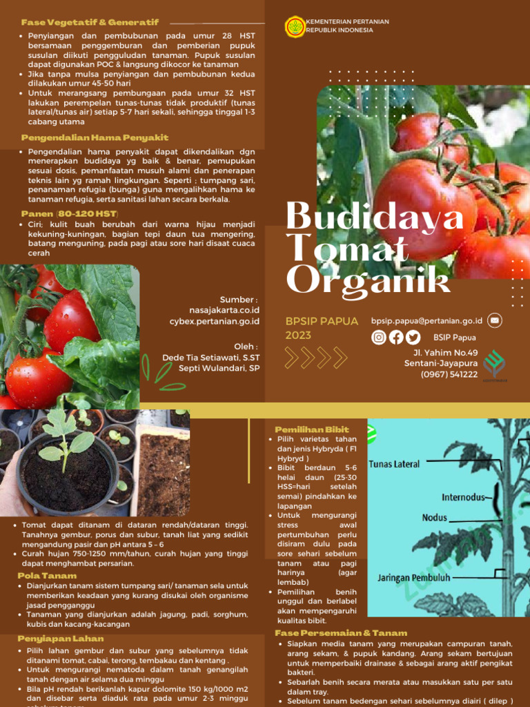 Budidaya Tomat | PDF