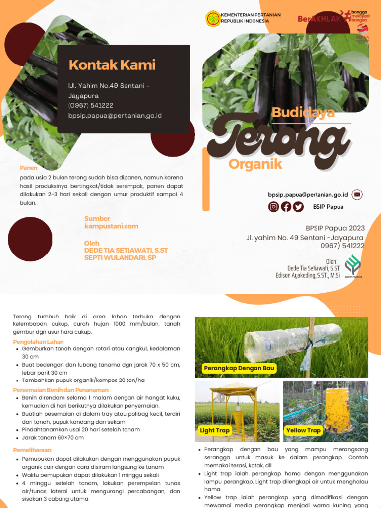 Budidaya Terong | PDF