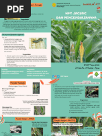 Hama Penyakit Tanaman Terong | PDF