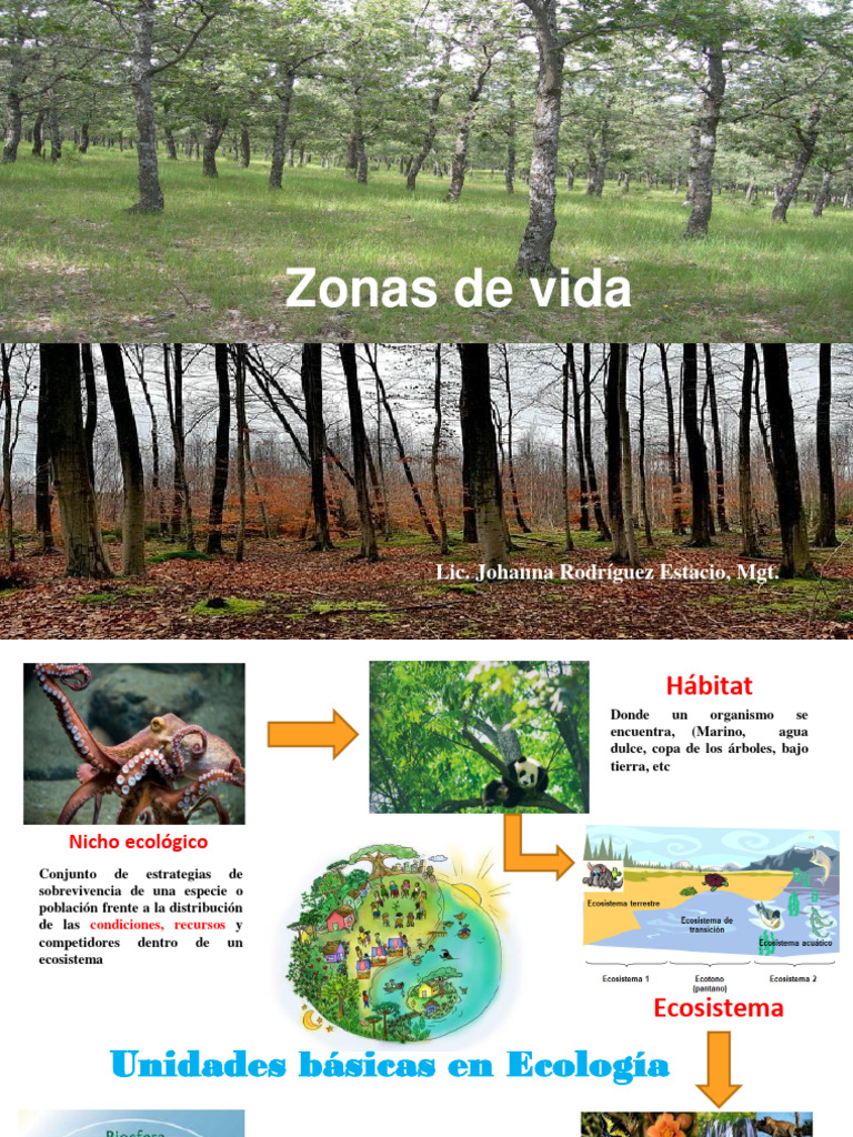 Taller Zonas de Vida 2023 | PDF | Naturaleza | Fenómenos de la tierra