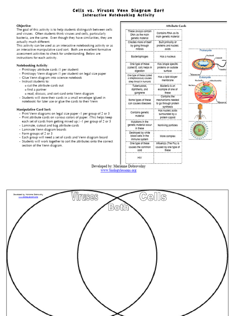 Cells vs. Viruses Venn Diagram Sort: Interactive Notebooking Activity ...