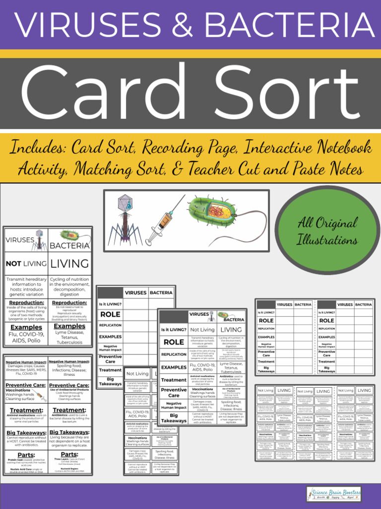 Card Sort | PDF | Influenza | Virus