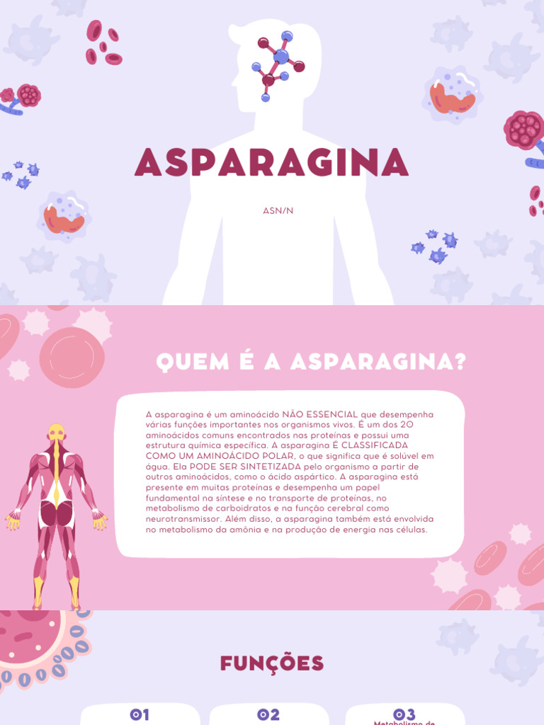 Asparagina Resumo | PDF | Metabolismo | Aminoácido
