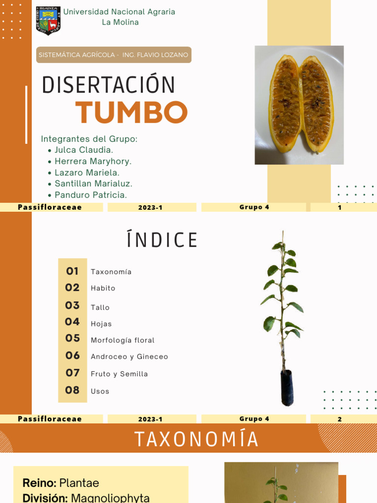 Taxonomía y Usos del Tumbo | PDF | Flores | Plantas