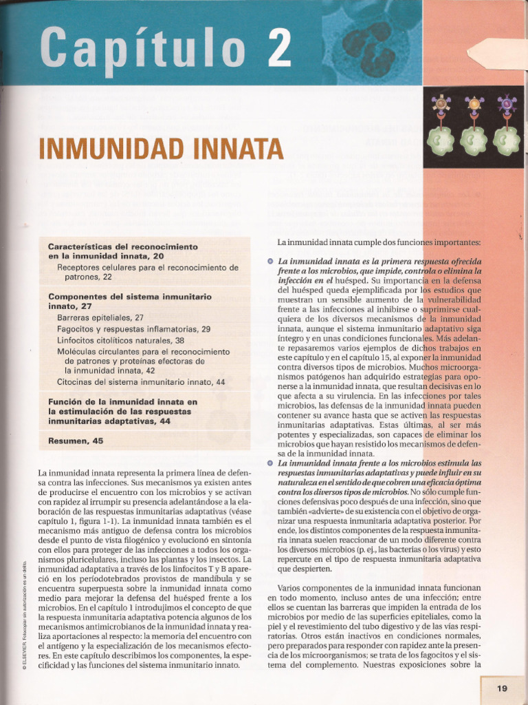 Inmunidad Innata Abul Abbas | PDF